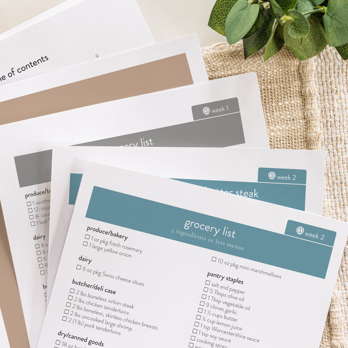 5 Ingredients Menu Plans | PDF Download | Passionate Penny Pincher