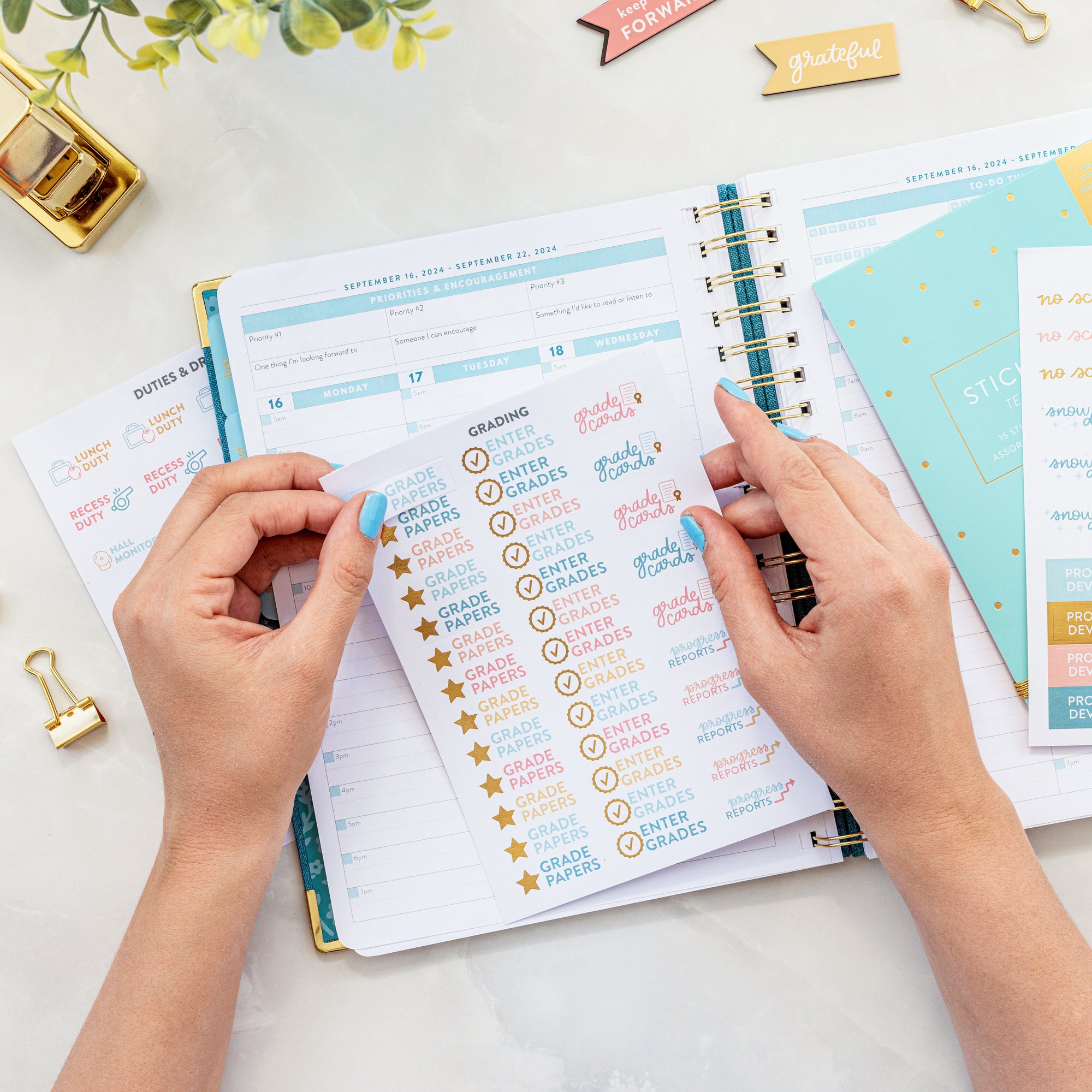 Teacher Sticker Book - Passionate Penny Pincher