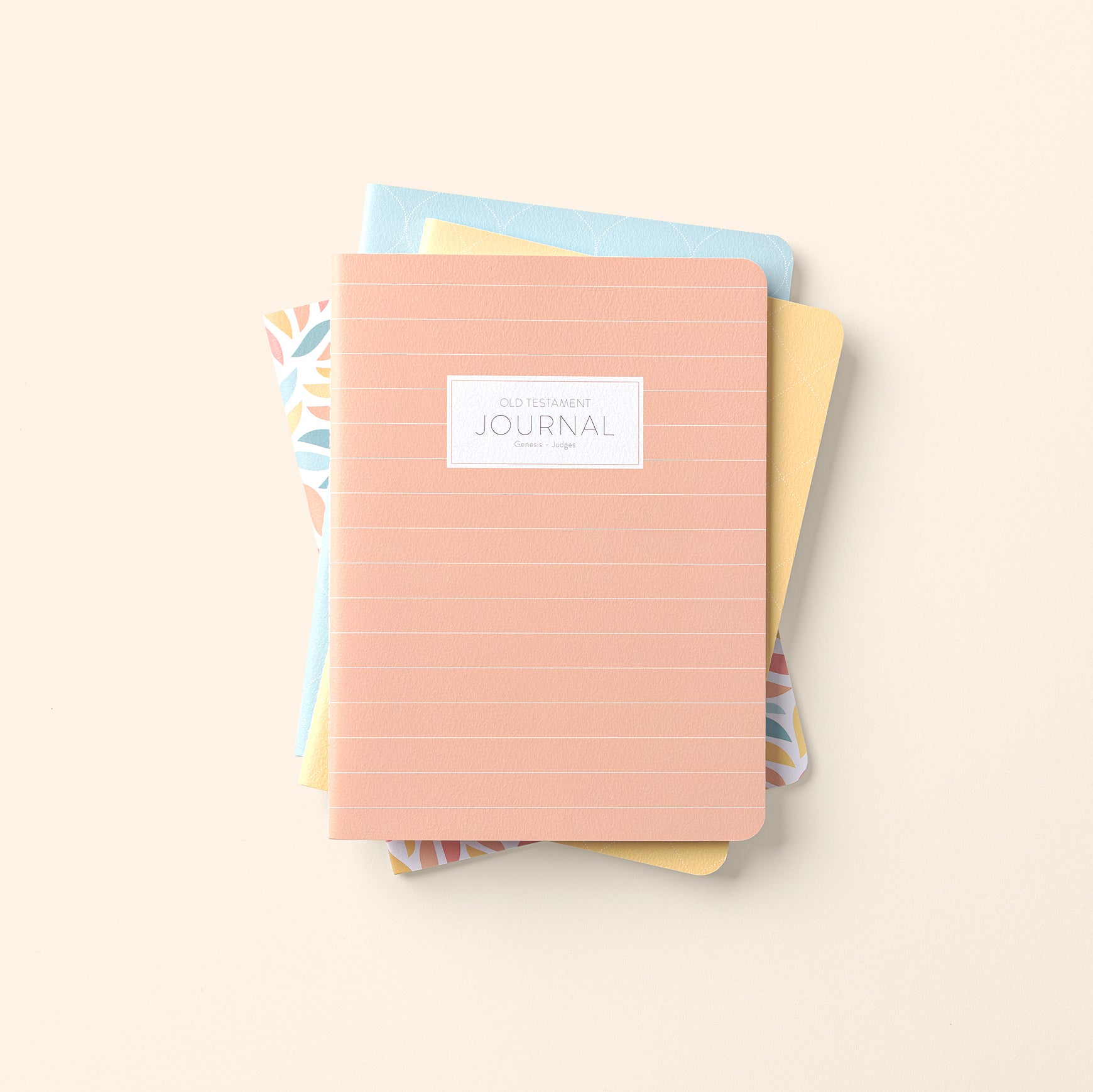 Old Testament Journal Pack | Passionate Penny Pincher