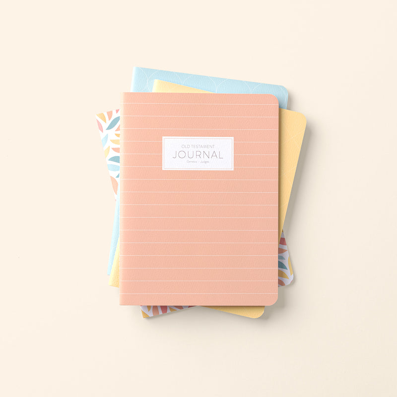 Old Testament Journal Pack | Passionate Penny Pincher