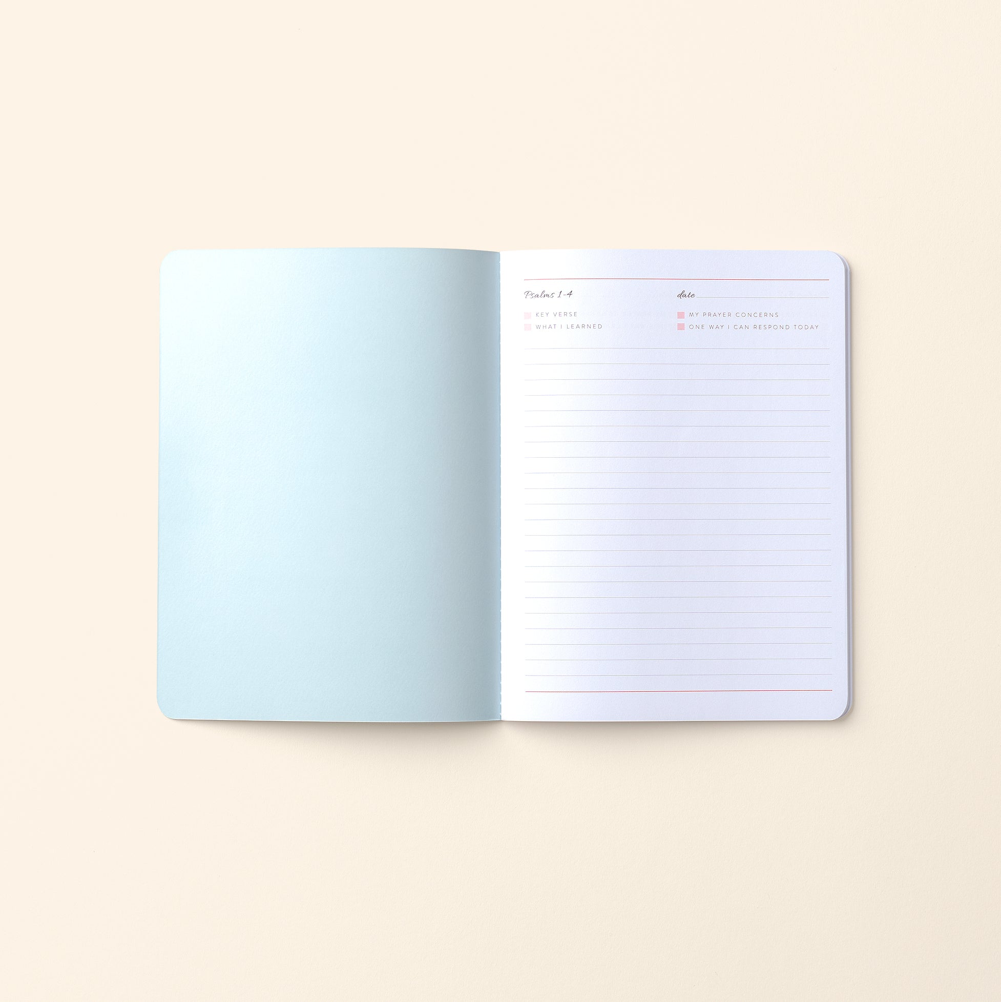 Old Testament Journal Pack | Passionate Penny Pincher