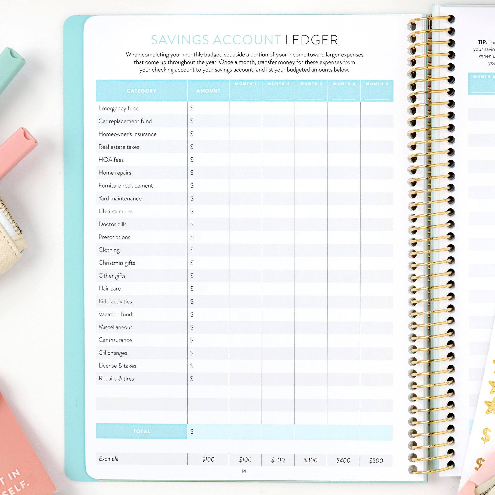 Money Planner - Passionate Penny Pincher