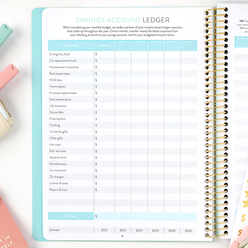 Money Planner - Passionate Penny Pincher