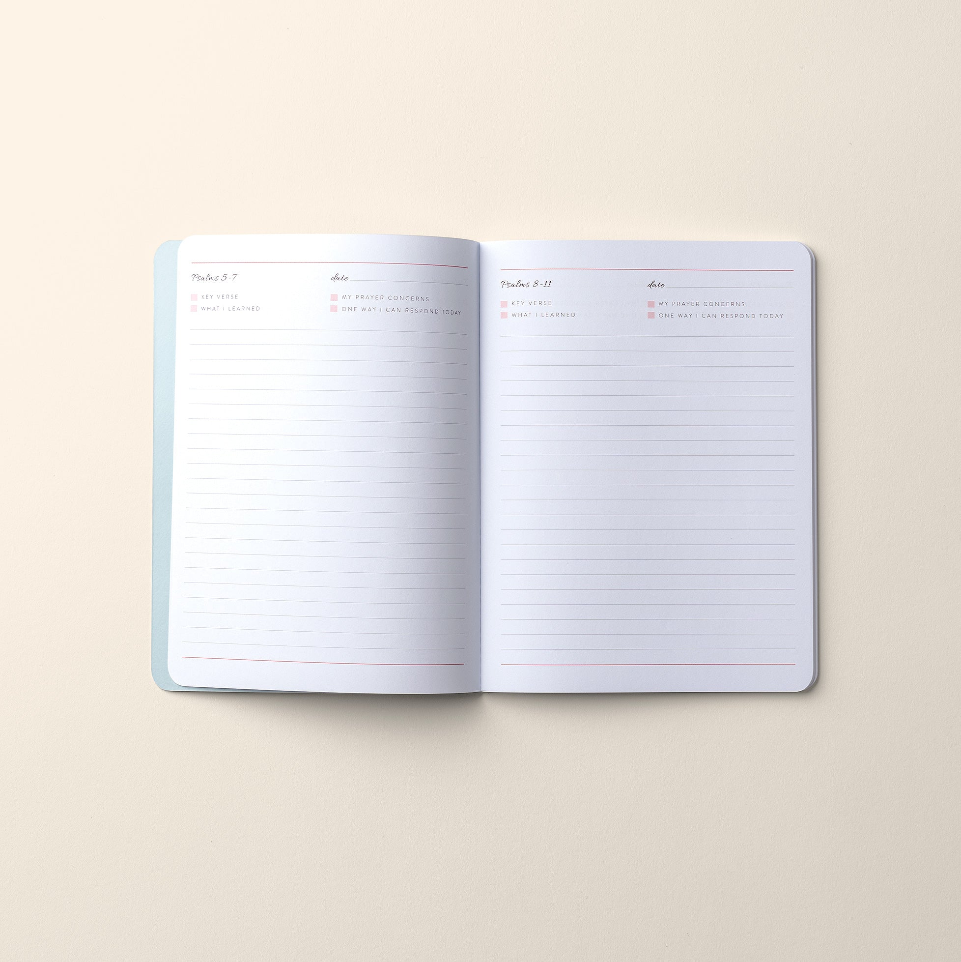 Old Testament Journal Pack | Passionate Penny Pincher