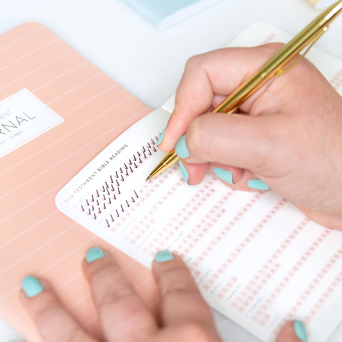 Old Testament Journal Pack | Passionate Penny Pincher